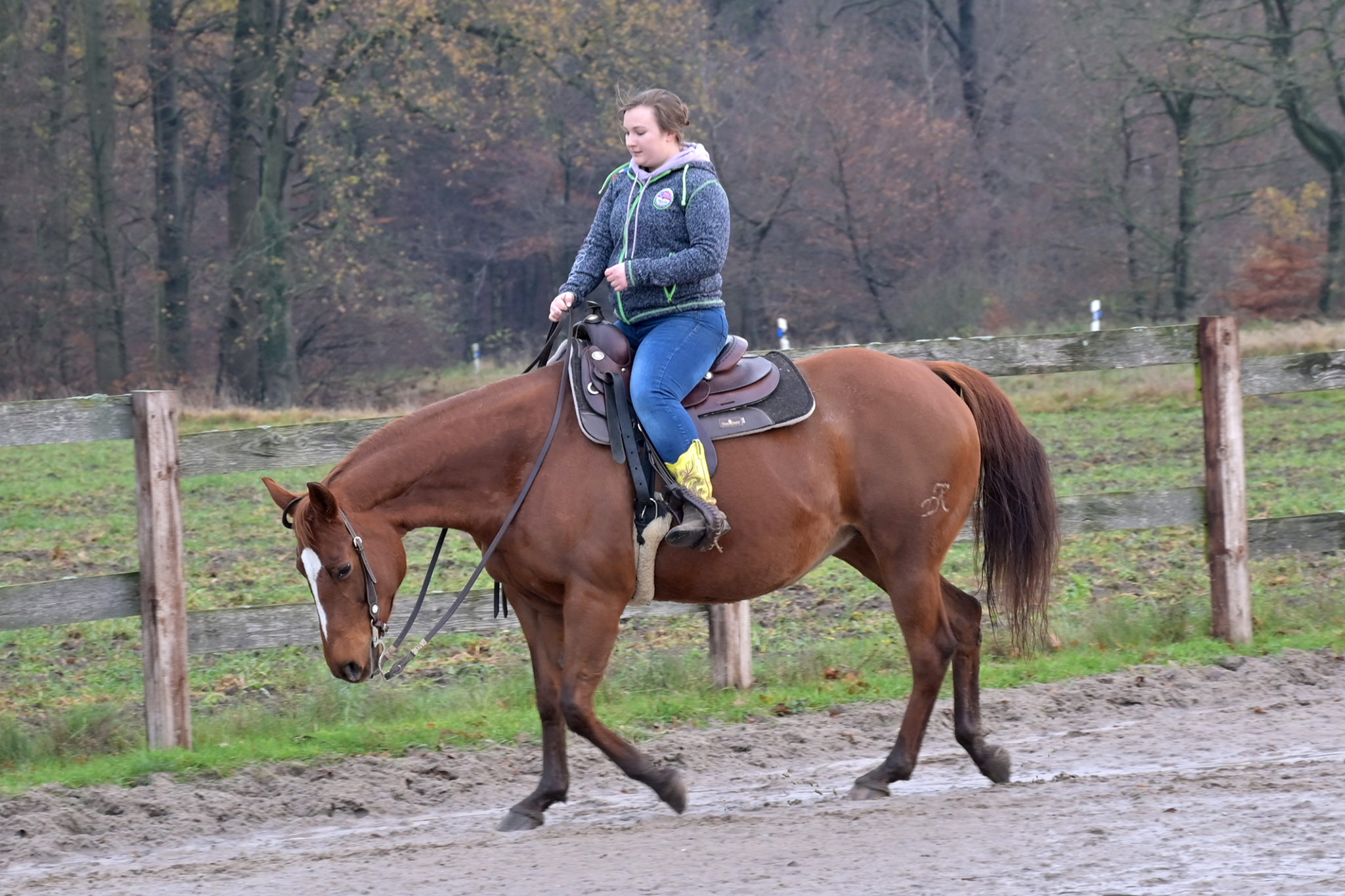 Westernreiten: Mehr als einfach nur Reiten Andree Wächter